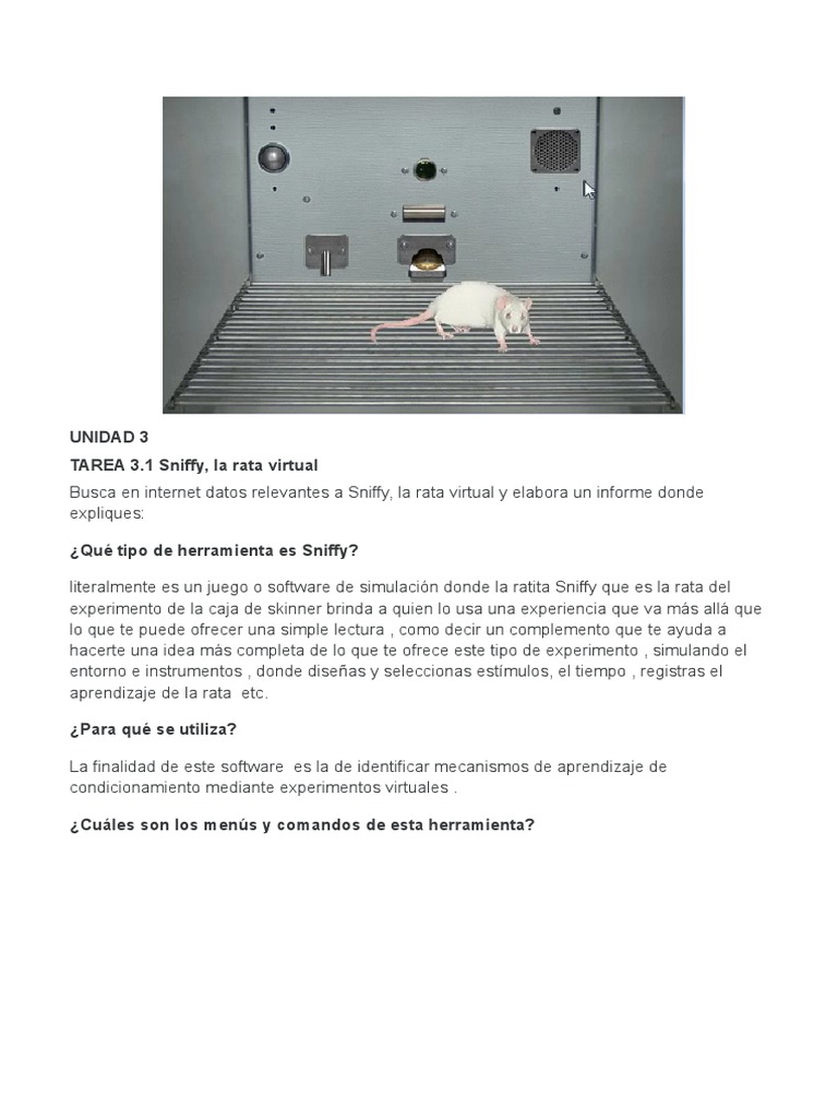 Sniffy, La Rata Virtual 23-Nov | PDF