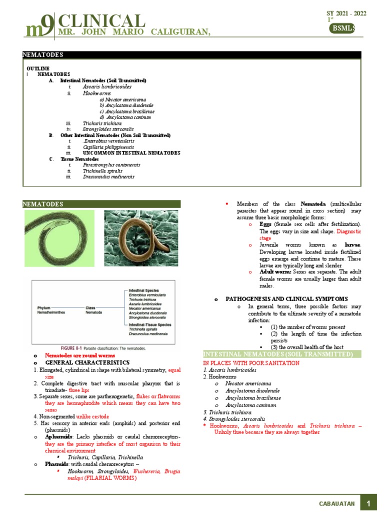 Week9&10 LEC Clinical Parasitology NEMATODES | PDF | Nematode | Medical Specialties