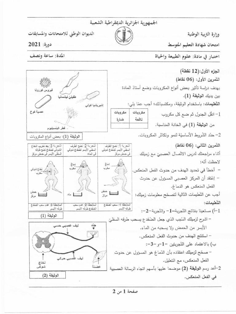 Bem Science 2021 | PDF