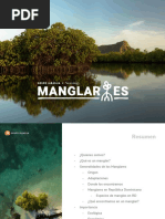 Importancia de los Manglares en Puerto Rico | PDF | Mangle | Ciclones ...
