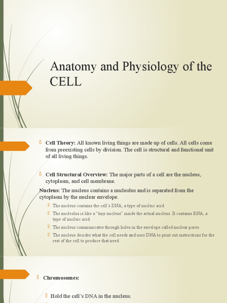 Anatomy and Physiology of The CELL | PDF | Cell (Biology) | Endoplasmic Reticulum
