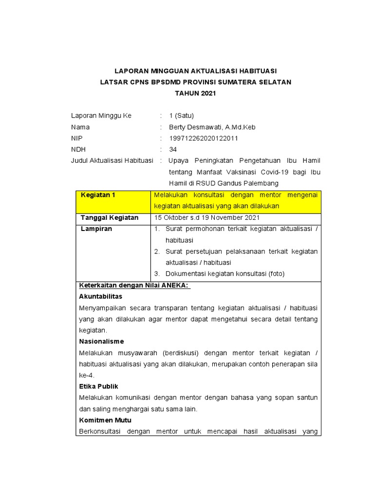 Contoh Laporan Mingguan 1 | PDF