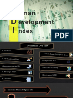 HDI Project Class12 | PDF