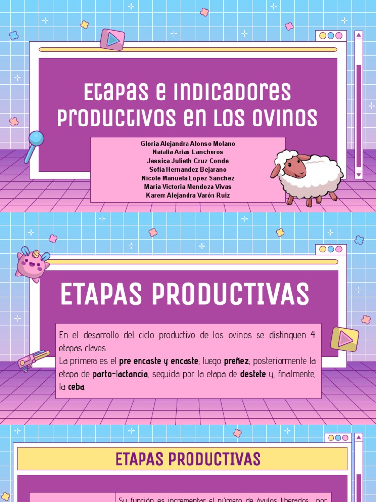 Etapas del Ciclo Productivo Ovino | PDF | Oveja | Parto