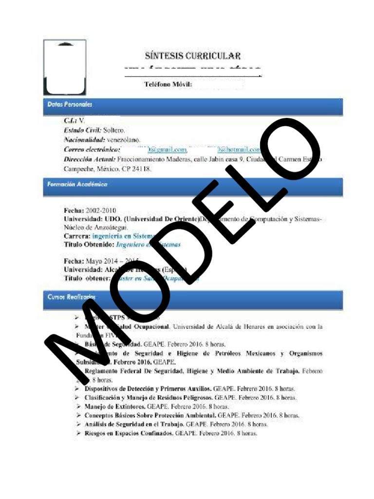 Modelo Curriculum | PDF