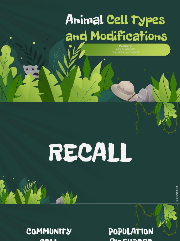 Animal Tissues Cell Types and Modifications Complete | PDF | Epithelium ...