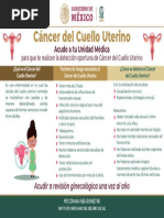 Tríptico Cáncer de Cervix | PDF | Cáncer de cuello uterino | Menstruación