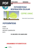Fotólisis: Proceso y Aplicaciones | PDF