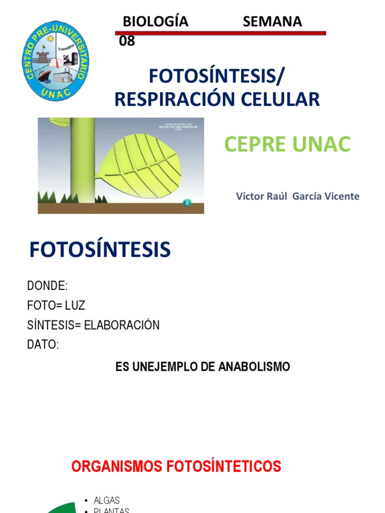 Semana 8 Biologia PPT Fotosintesis - Respiracion Celular | PDF ...