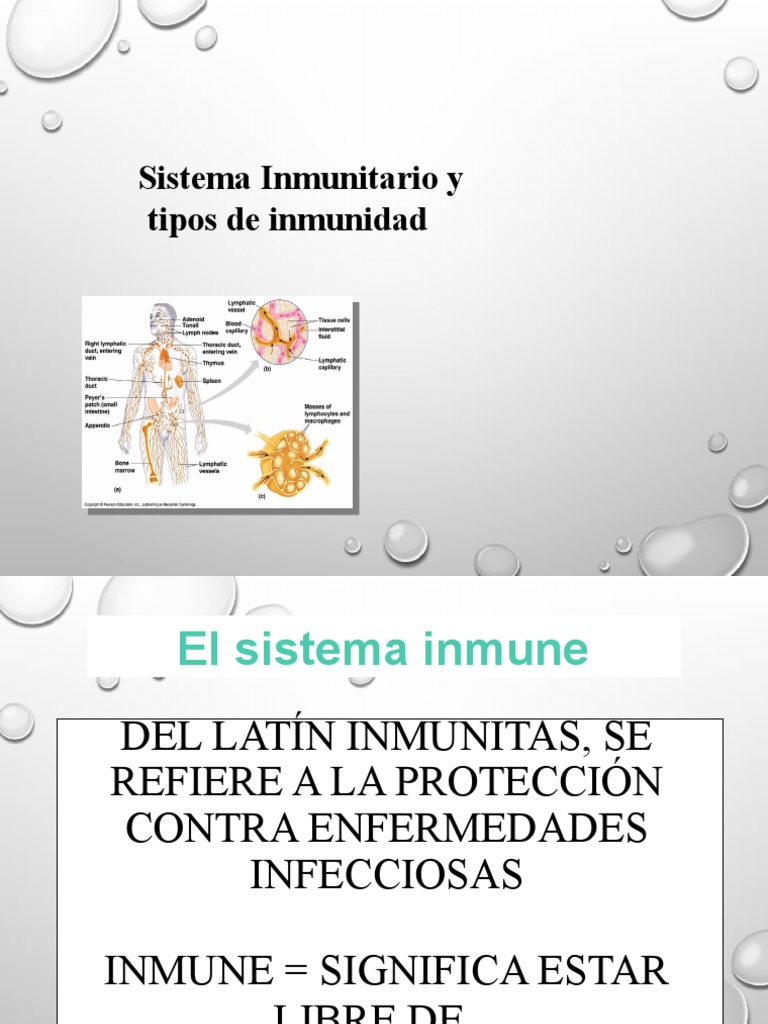 Sistema Inmunologico | PDF | Sistema inmune | Linfocitos