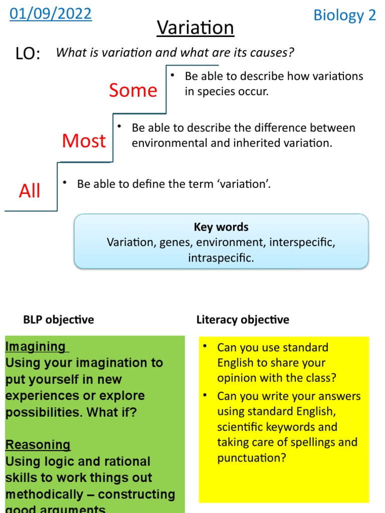 Lesson 6 Variation HRA | PDF | Genetics | Gene