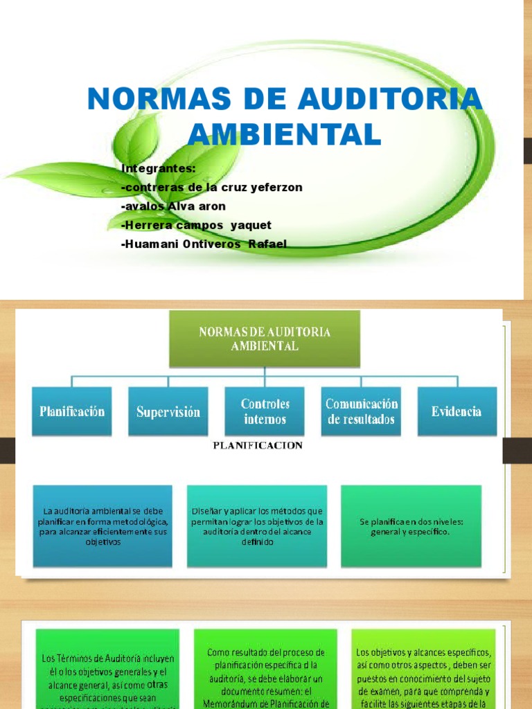 NORMAS DE AUDITORIA AMBIENTAL Expo Ofi 2 | PDF | Auditoría | Business