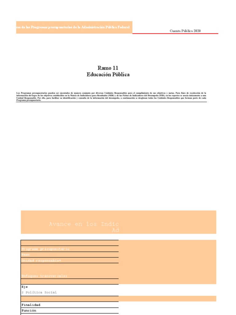 Mir R11 2020 | PDF | Presupuesto | Educación primaria