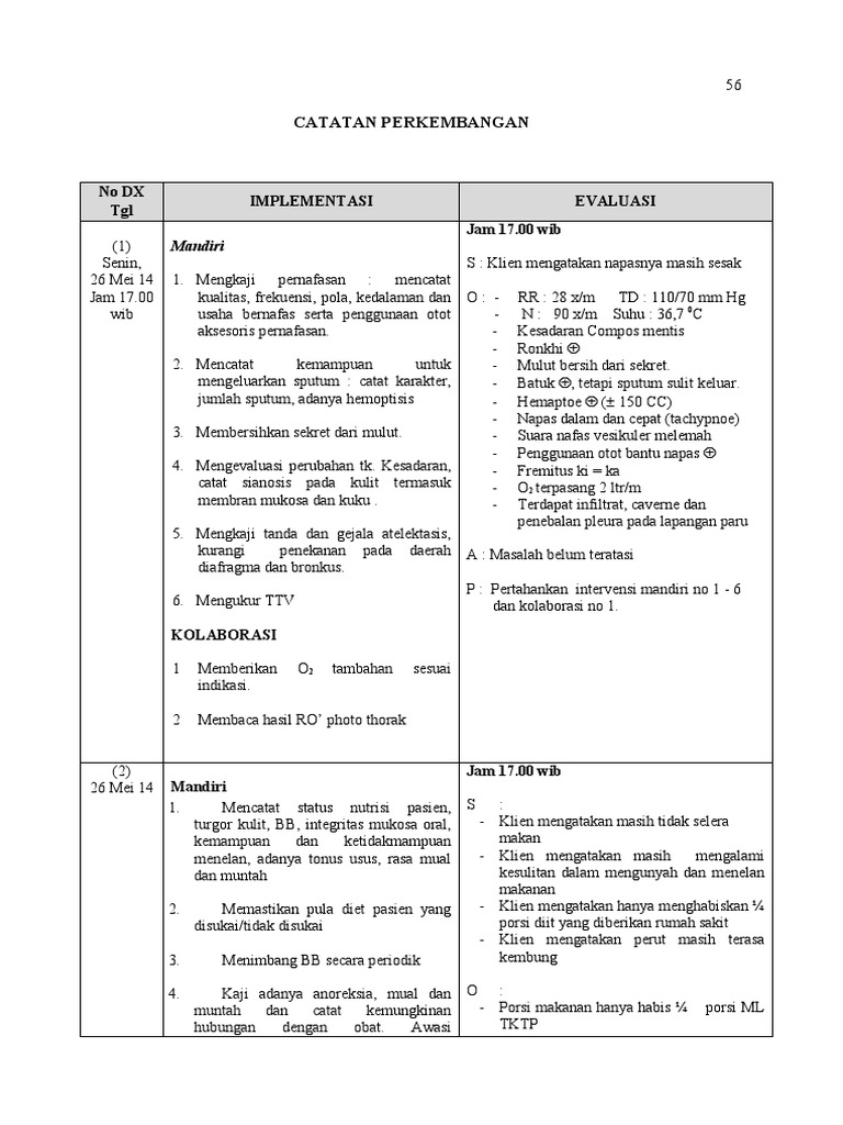 Catatan Perkembangan | PDF