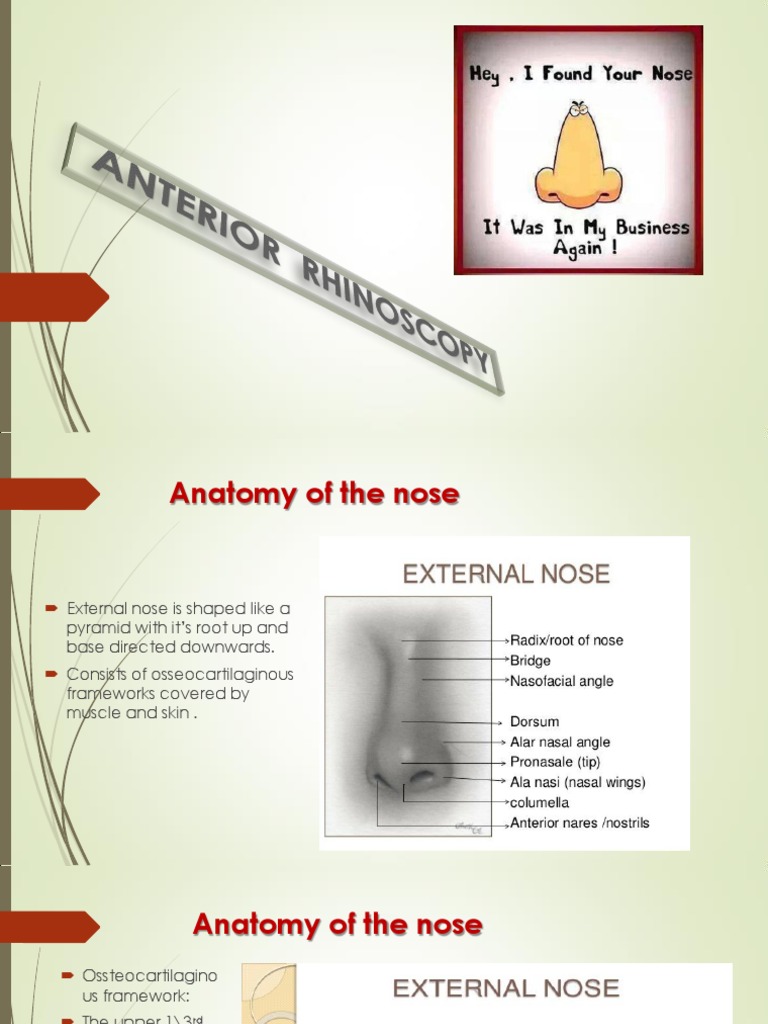 Anterior Rhinoscopy: Anatomy and Procedure | PDF | Human Nose | Biopsy