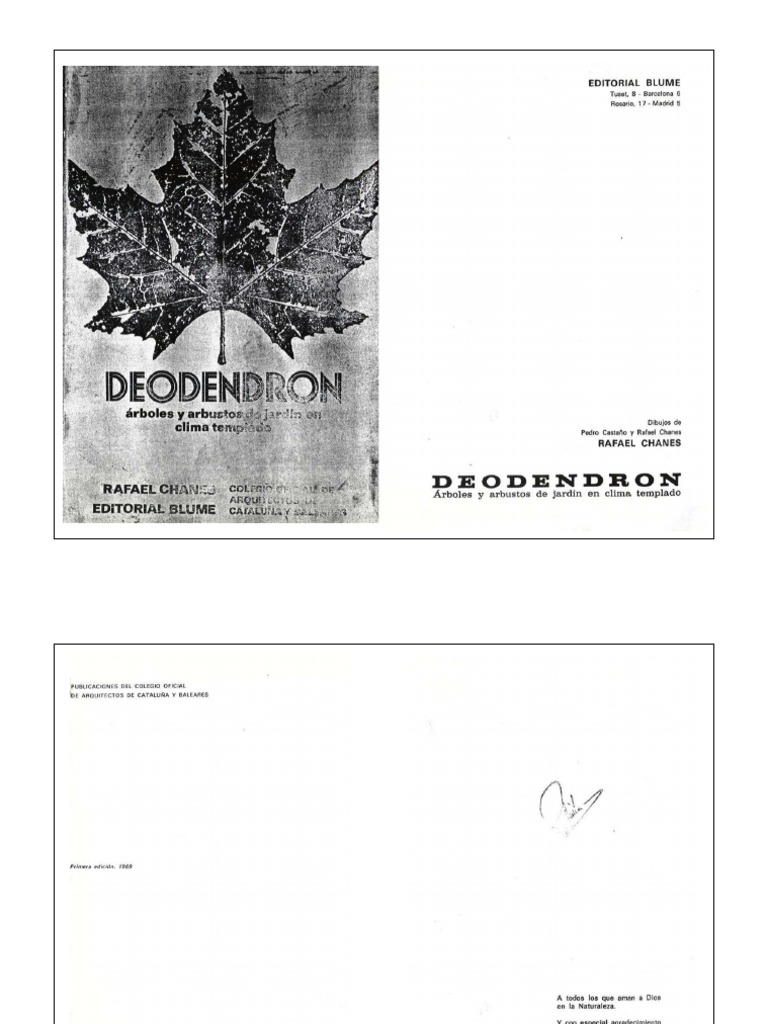 Deodendron. Arboles y Arbustos 1 | PDF | Arboles | Plantas de jardín