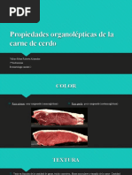 Visceras de La Res | PDF | Menudencias | Carne