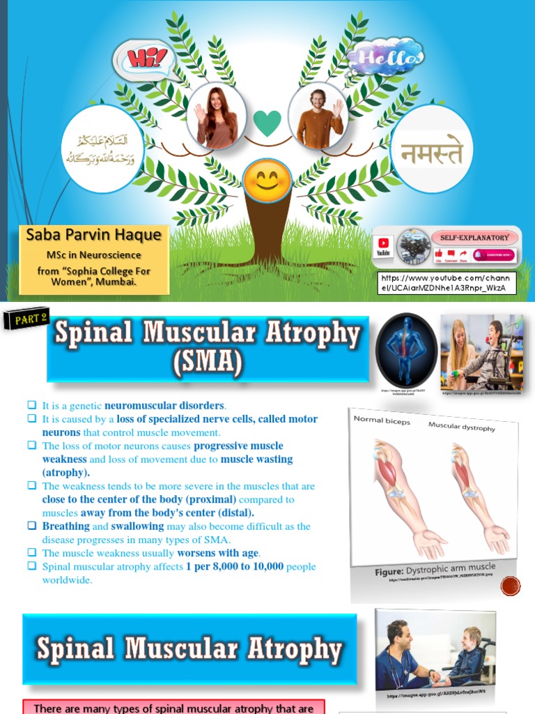 Spinal Muscular Atrophy (SMA) | PDF | Skeletal Muscle | Nervous System