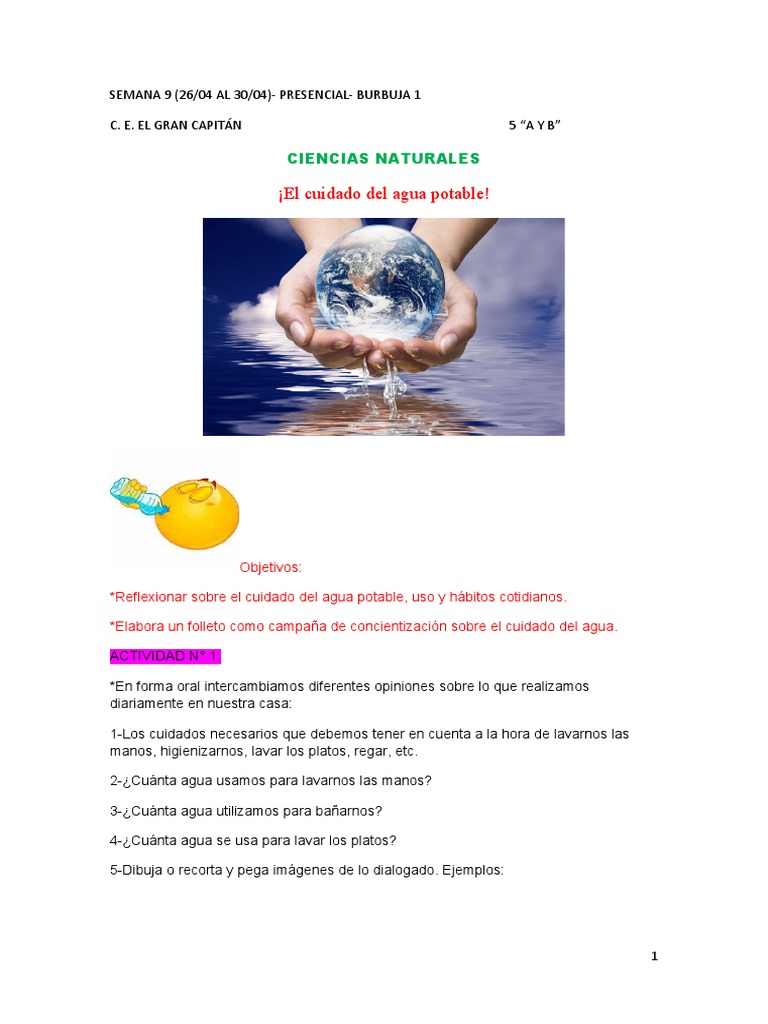 El Cuidado Del Agua Potable (Presen - Sem.9) | PDF | Agua