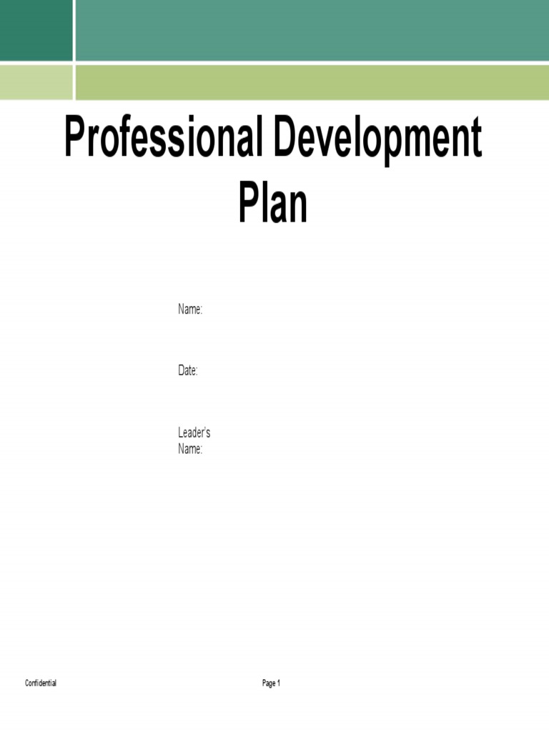 Professional Career Development Plan | PDF | Goal | Organizational Behavior