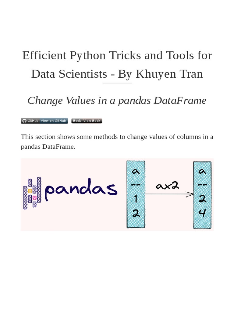 Pandas Tricks And Tips To Exceed Pdf Anonymous Function Computer Programming