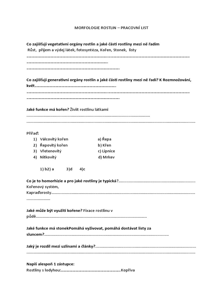 Pracovní List Morfologie R - Zadání - Kopie - Kopie - Kopie | PDF