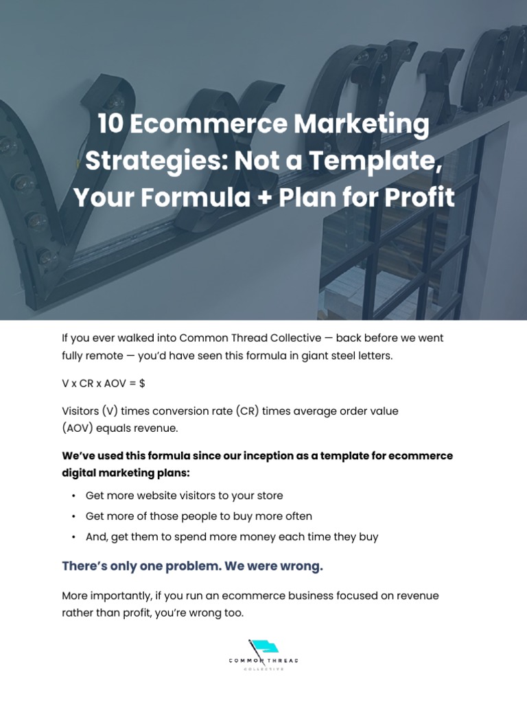 Ecommerce Digital Marketing Strategy | PDF | Search Engine Optimization ...
