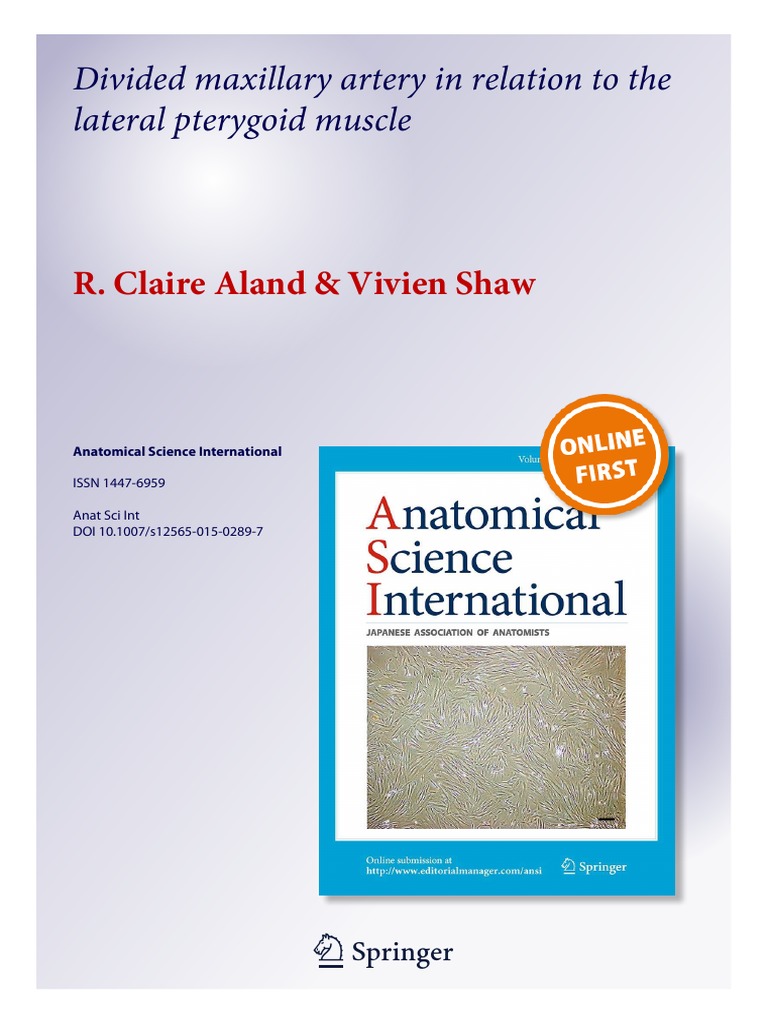 Divided Maxillary Artery in Relation To | PDF | Common Carotid Artery ...