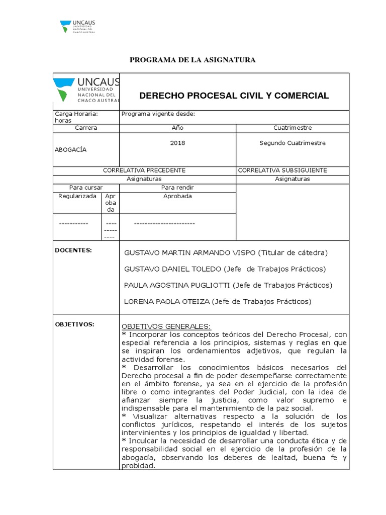 Programa de Derecho Procesal Civil y Comercial - Uncaus | PDF | Ley ...