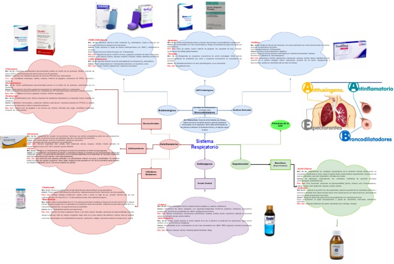 Mapa Conceptual Farmaco Respiratorio | PDF | Asma | Antiinflamatorio