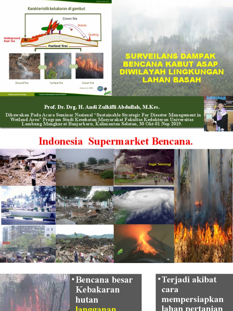 Surveilans Dan Dampak Dari Bencana Kabut Asap Di Wilayah Lingkungan ... Surveilans Dan Dampak Dari Bencana Kabut Asap Di Wilayah Lingkungan ...