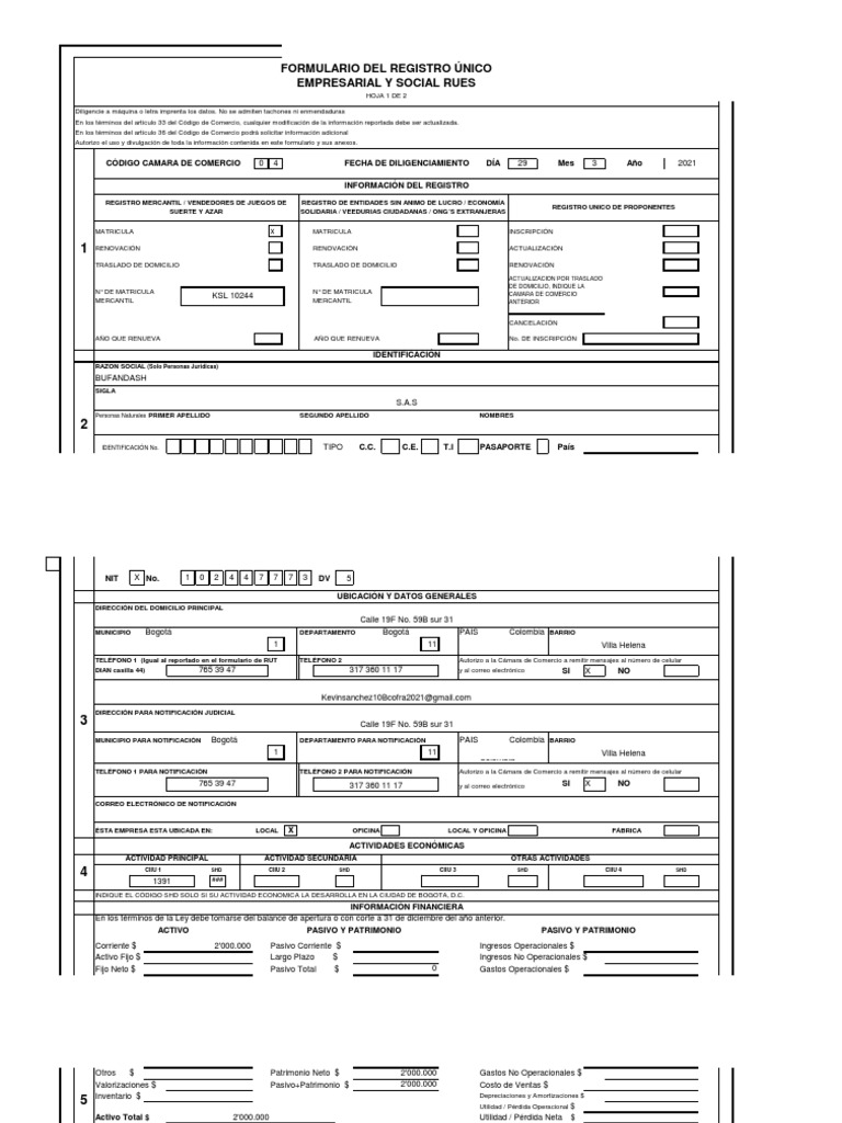 2.3 - Registro Único Empresarial y Social (Rues) | Descargar gratis PDF | Hoja de balance ...