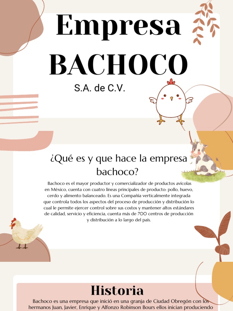 Bachoco 3 | PDF | Transporte | Business