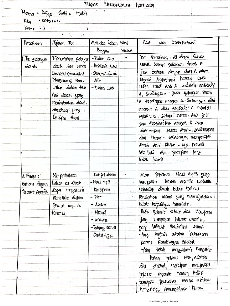 Rifqa Nabila M - C011211131 | PDF