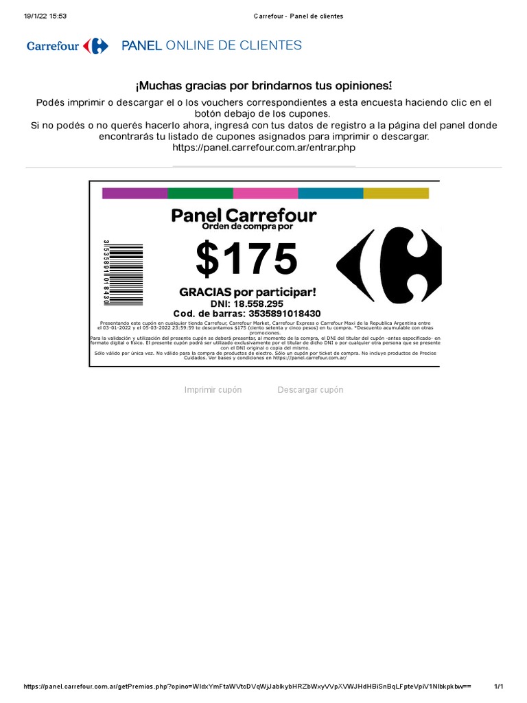 Carrefour - Panel de Clientes | PDF