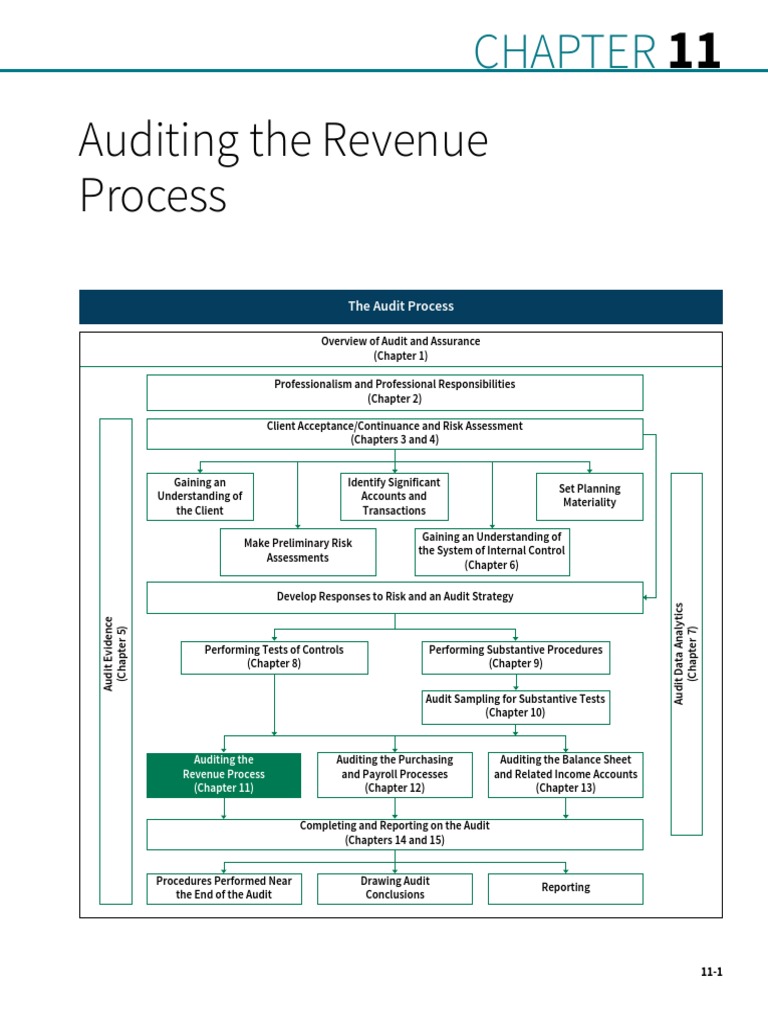 3005-Auditing A Practical Approach With Data Analytics by Raymond 10 | PDF | Financial Audit | Audit