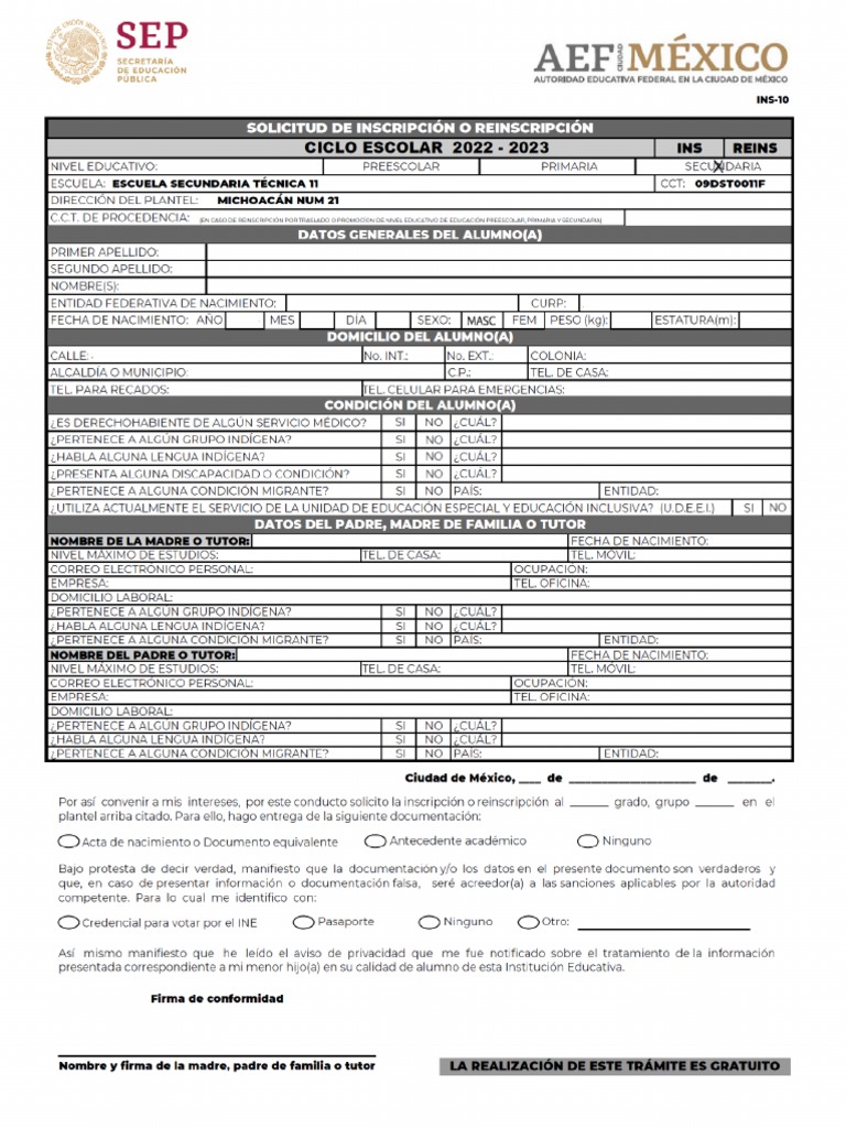 Formato INS-10 | PDF