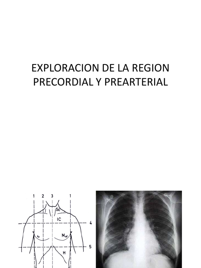 Exploración anatómica y fisiológica de la región precordial y ...