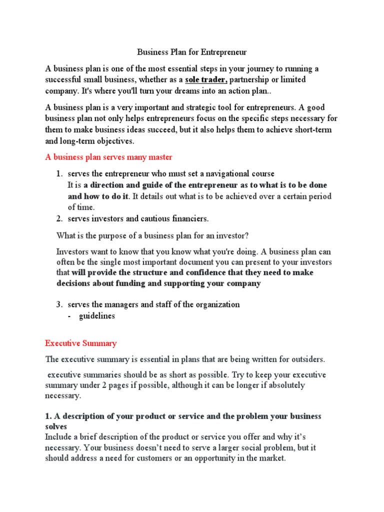 Business Plan For Entrepreneur | PDF | Market Analysis | Sales