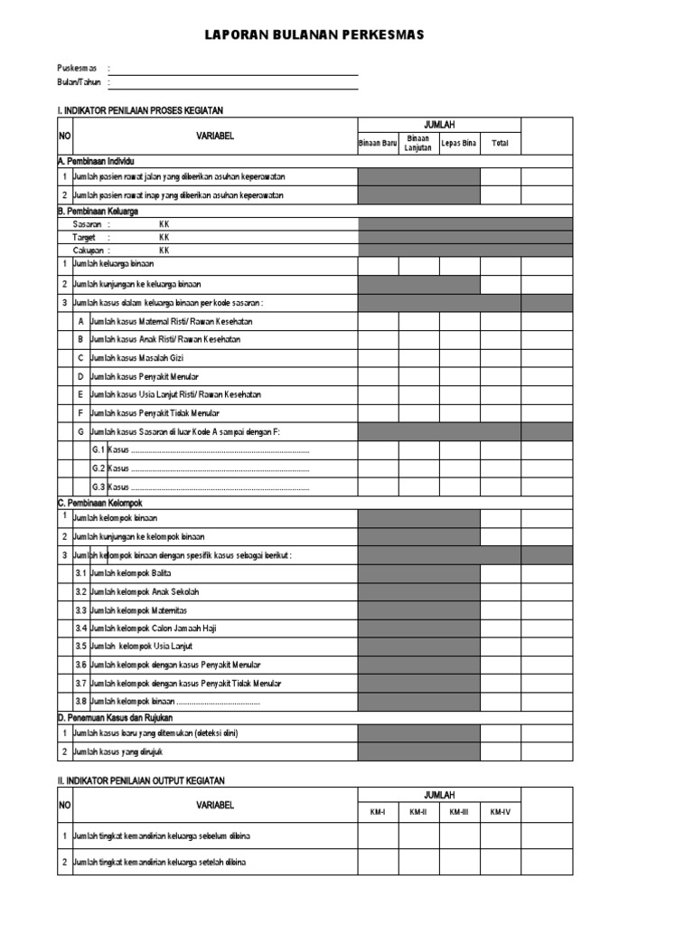 Format Laporan Perkesmas | PDF