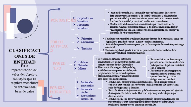 Entidad y Clasificacion de Las Entidades | PDF | Business | Sociedad