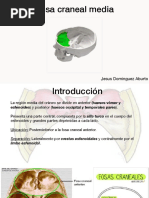 6-Cara Endocraneal de La Base Del Cráneo - Las Fosas Craneales y Los ...