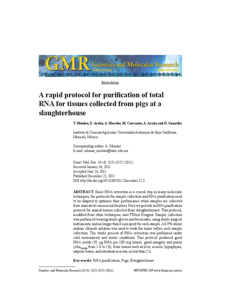 A Rapid Protocol For Purification of Total RNA | PDF | Gel ...