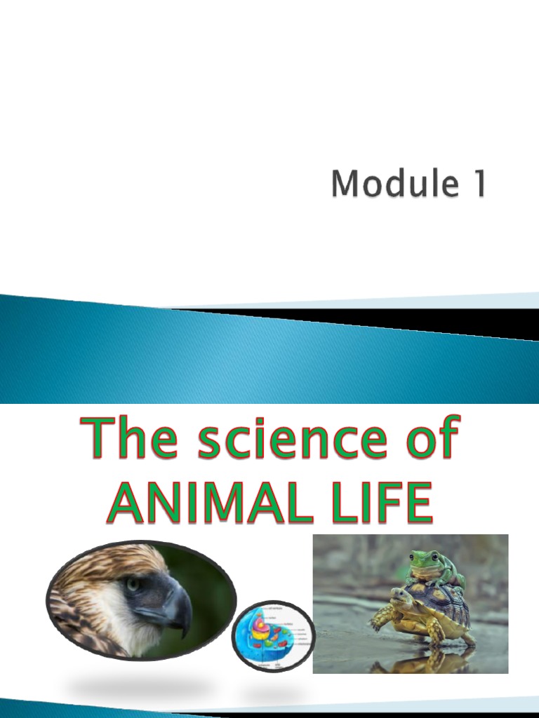 Module 1-Zoology - History | PDF | Plants | Fungus