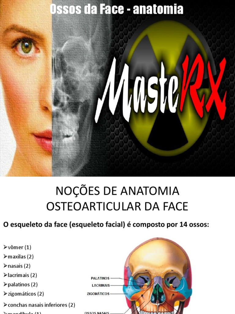 Ossos da Face: Anatomia e Radiografia | PDF | Anatomia | Anatomia humana