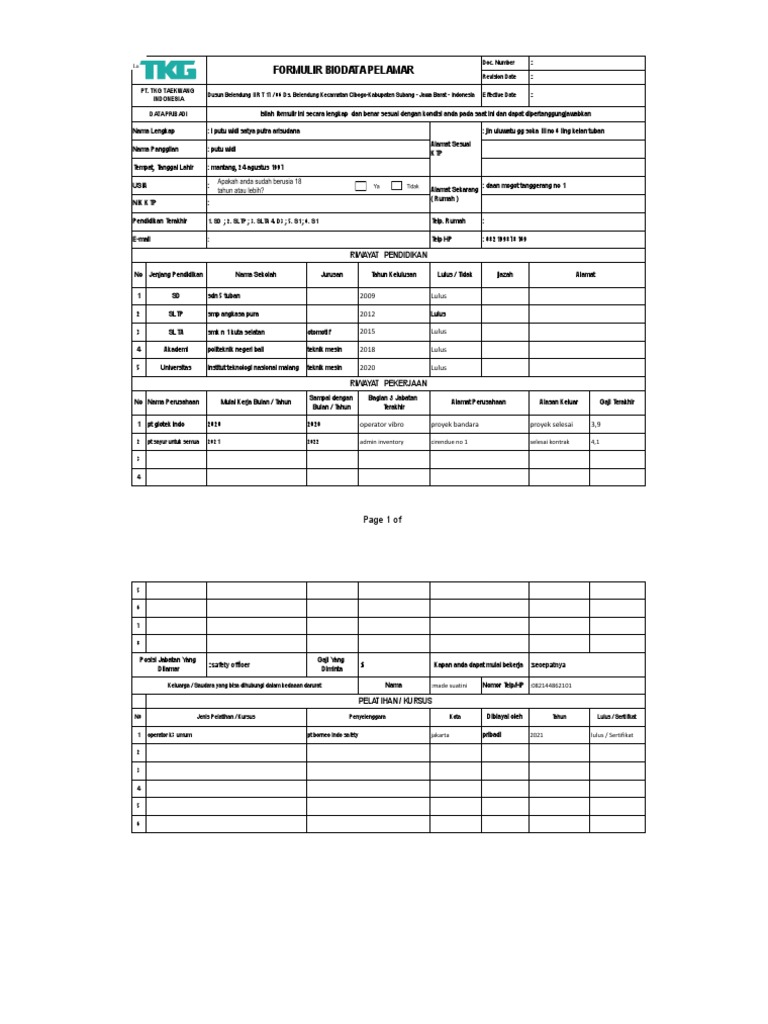 FORM BIODATA PELAMAR 2022.xlsx - REVISI BIODATA PELAMAR | PDF