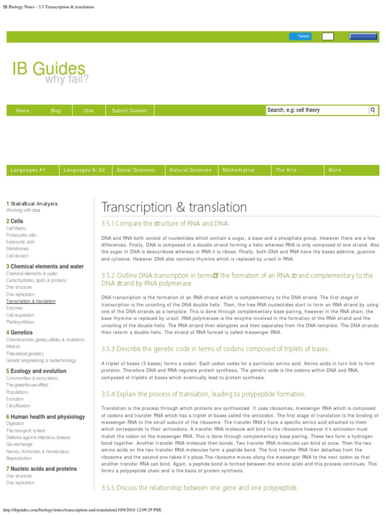 IB Biology Notes - 35 Transcription Translation | PDF | Rna | Dna