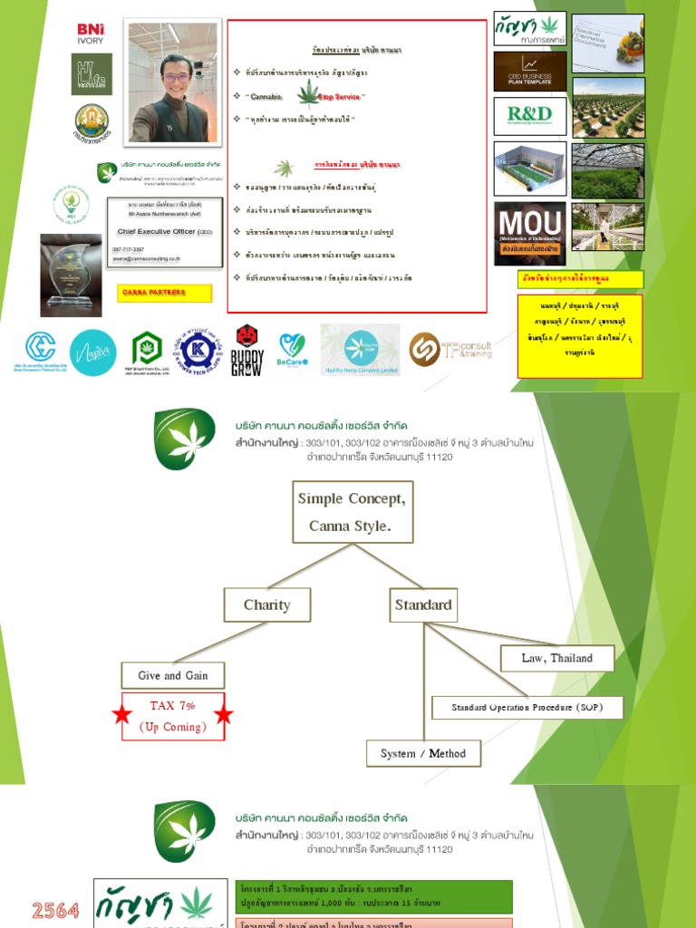 เสนองาน TP Consultant 2 | PDF