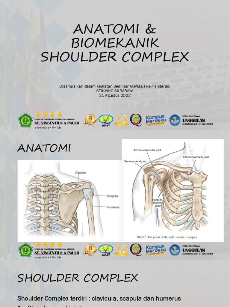 Anatomi Dan Biomekanik Shoulder Complex | PDF