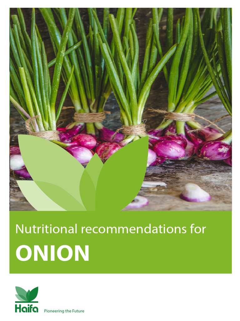 Onion Crop Guide Full | PDF | Soil | Onion